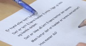 2. Hva er helhetslesing? - Statped