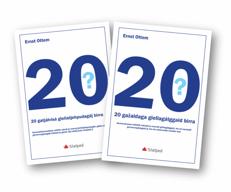 Helhetslesing - Statped