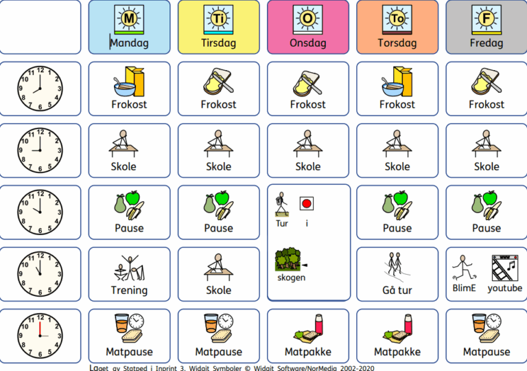 Sosial kommunikasjon - Statped