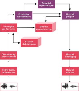 Taleprosessering og ulike typer språklydsforstyrrelser - Statped